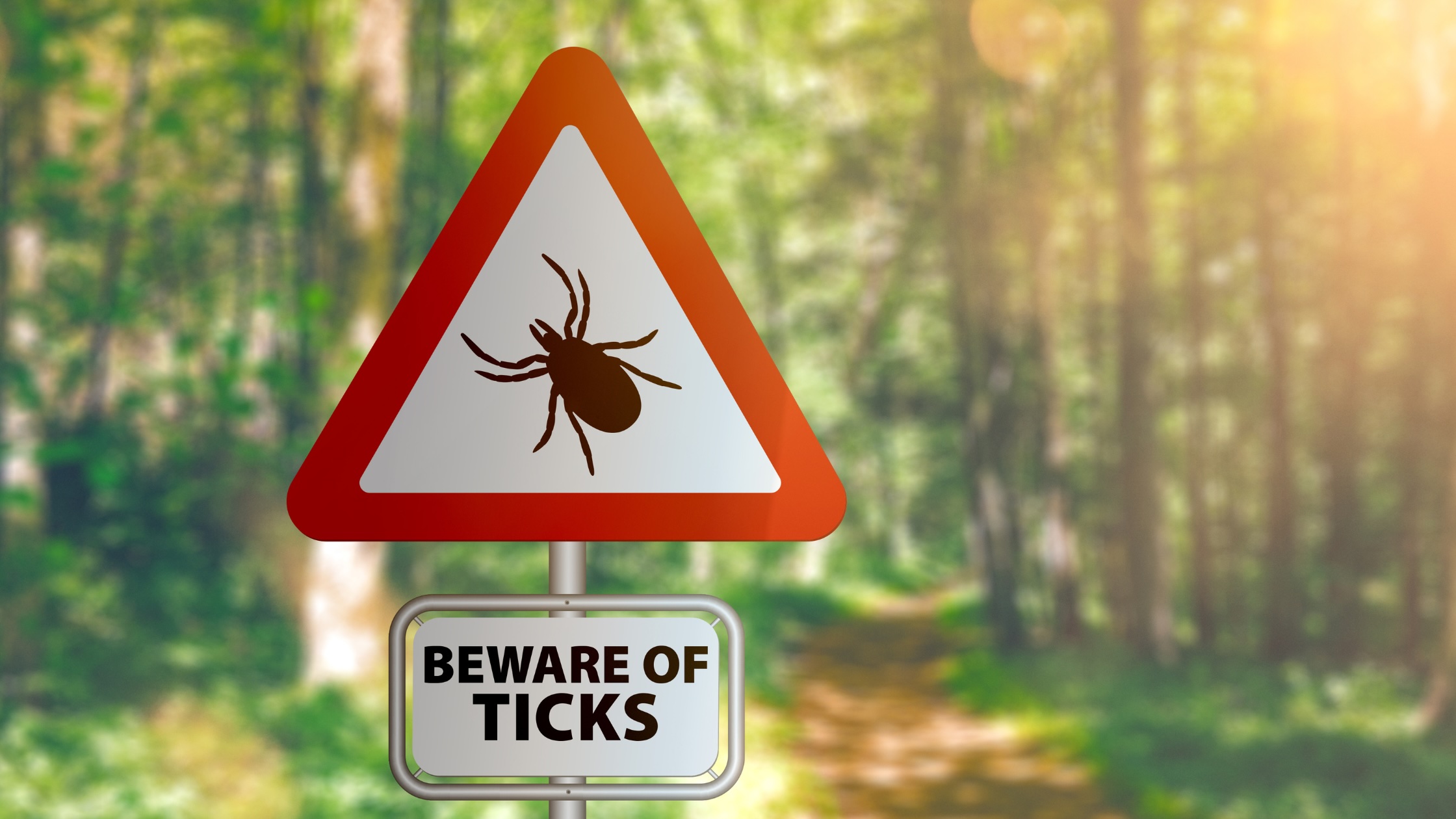 5 Things to Know About Tick Bites - Gateway Hancock Health